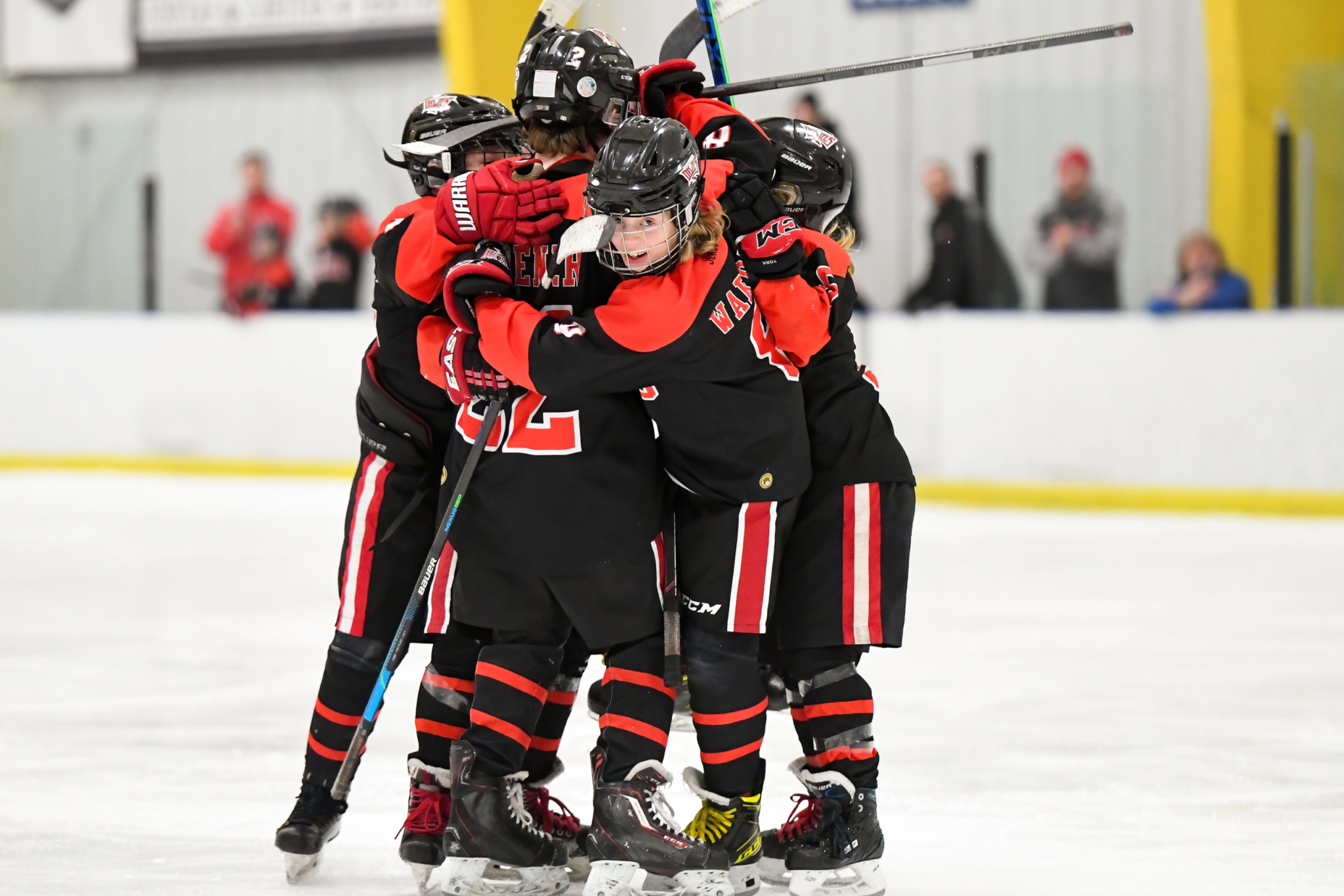 Black Bear Sports Group: Protecting Hockey. Growing the Game.